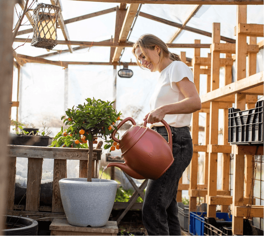 Buy Planters, Flower Pots & Garden Furniture - Sustainable & High Qual