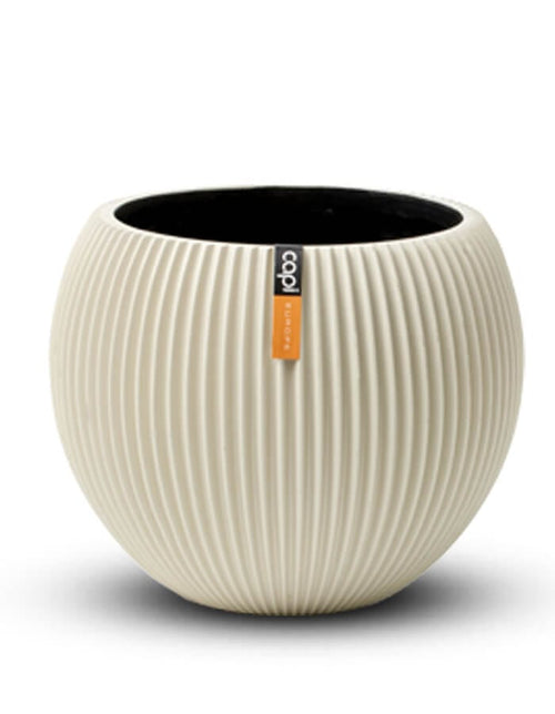 Buy Table Top Planters Online – Stylish Indoor Planters